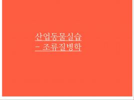 [산업동물실습] 조류질병학 : 동물 실습 - 조류 질병, 조류 질병 원인, 조류 부검, 조류 질병 진단, 조류 질병 검사.pptx-1페이지