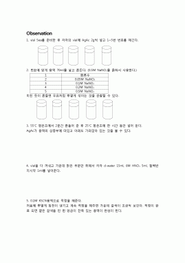 [물리화학실험] Ionic strength 결과처리-1페이지