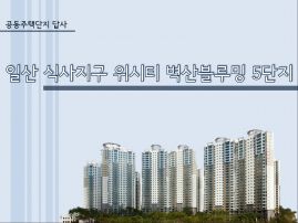 공동주택단지 설계분석 - 일산 식사지구 위시티 벽산블루밍 5단지 {단지 선정 이유, 단지분석, 인접블록 용도현황}.pptx-1페이지