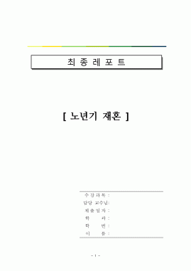 [노년기 재혼의 문제점과 해결방안] 노년기 재혼 - 노년기 재혼의 현황, 특징, 실태, 노년기 재혼 문제점과 해결방안-1페이지