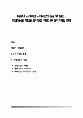 [정부의 규제기관(規制機關)] 규제기관의 환경 및 설립 - 규제기관의 역할과 조직구조, 규제기관 조직유형의 결정-1페이지