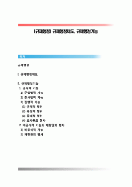 [규제행정 (規制行政)] 규제행정제도, 규제행정기능-1페이지