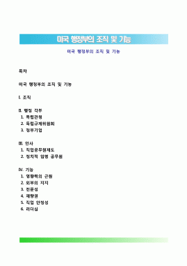 미국 행정부의 조직 및 기능 - 조직, 행정 각부, 인사, 기능-1페이지