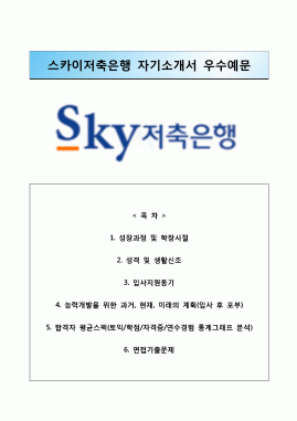 (스카이저축은행 Sky貯蓄銀行 자기소개서) 스카이저축은행 자소서 +면접질문기출 [스카이저축은행합격자기소개서▰SKY저축은행자소서항목▰SKY저축은행우수예문]-1페이지