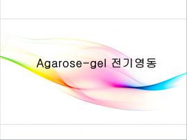 [대학생물및실험1] 세미나 Agarose gel(아가로스 겔)과 전기영동.pptx-1페이지