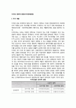 미국의 경제적 환경 (미국경제환경) {국가 개황, 거시환경, 미국의 정신}-1페이지