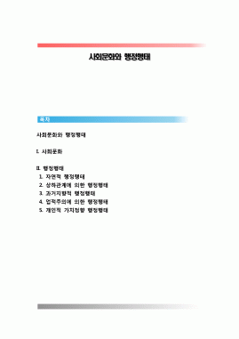 사회문화(社會文化)와 행정행태(行政行態)-1페이지