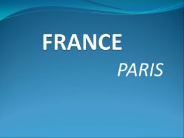 새로운도전, 국제관광 레포트 FRANCE PARIS
-1페이지