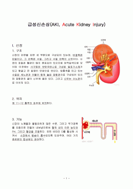 AKI 케이스-1페이지