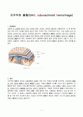 SAH 케이스(지주막하 출혈)-1페이지