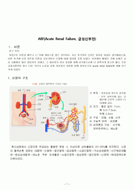 ARF(Acute Renal Failure, 급성신부전)-1페이지