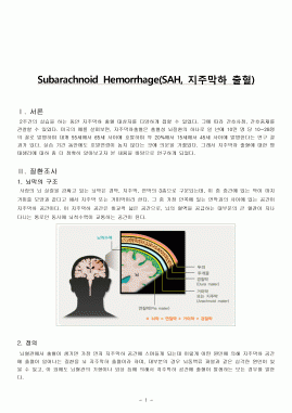 Subarachnoid Hemorrhage(SAH, 지주막하 출혈)-1페이지