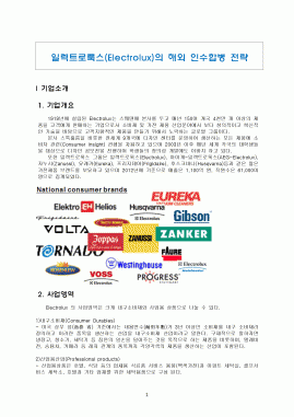 일렉트로룩스(Electrolux)의 해외 인수합병 전략-1페이지