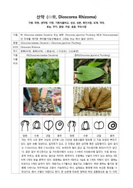 에너지 하베스팅 개념, 원리 및 사례  (압전효과,열전효과,하베스팅,harvesting,광전효과,RF,압전타일,에너지 플로워),에너지 하베스팅 시장현황-1페이지