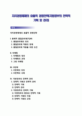 자치경영체제의 효율적 경영전략(지방정부의 전략적 기획 및 관리)-1페이지