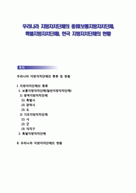 우리나라 지방자치단체의 종류(보통지방자치단체, 특별지방자치단체), 한국 지방자치단체의 현황-1페이지