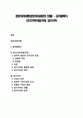 정보처리이론(정보처리과정의 모델) - 감각등록기, 단기기억(작업기억), 장기기억-1페이지