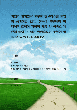 기업의 경영전략 도구로 정보시스템 도입이 증가하고 있다. 전략적 측면에서 빅 데이터 도입이 기업의 제품 및 서비스 개선에 미칠 수 있는 영향으로는 무엇이 있을 수 있는지 제시-1페이지