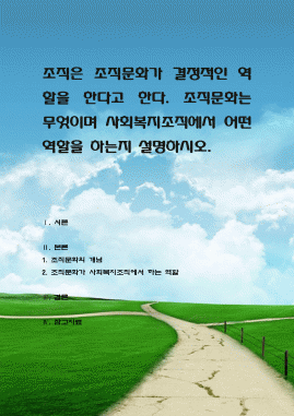 조직은 조직문화가 결정적인 역할을 한다고 한다. 조직문화는 무엇이며 사회복지조직에서 어떤 역할을 하는지 설명.-1페이지