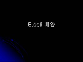 E.coli배양-1페이지