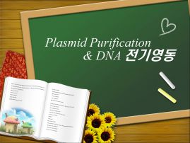 Plasmid Purification & DNA 전기영동-1페이지