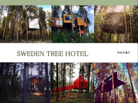  호텔 - 스웨덴 트리 호텔 (sweden tree hotel)-1페이지