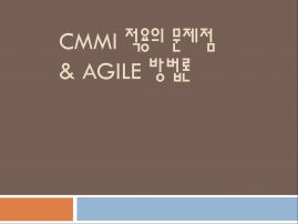 CMMI 적용의 문제점 & Agile 방법론-1페이지