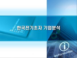 한국전기초자 기업분석 -1페이지