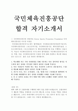 국민체육진흥공단자기소개서 국민체육진흥공단자소서 자기소개서와면접/합격자소서와 국민체육진흥공단 면접후기자소서,국민체육진흥공단합격자기소개서, 국민체육진흥공단 자소서 연봉,지원동기 샘플예문-1페이지