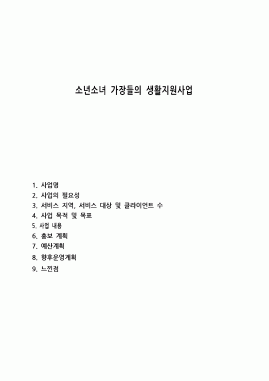 소년소녀 가장들의 생활지원사업(사회복지프로그램, 프로포절, 사업계획서, 빈곤가정아동)-1페이지