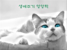 임신기영양 PPT(임신부영양, 임신기, 태반, 양수의역할, 수유부영양)-1페이지