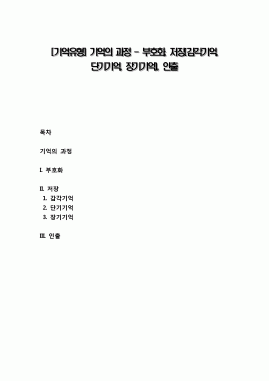 [기억유형] 기억의 과정 - 부호화, 저장(감각기억, 단기기억, 장기기억), 인출-1페이지