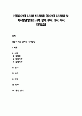 [영유아기의 감각과 지각발달] 영아기의 감각발달 및 지각발달(영아의 시각, 청각, 후각, 미각, 촉각, 감각발달)-1페이지