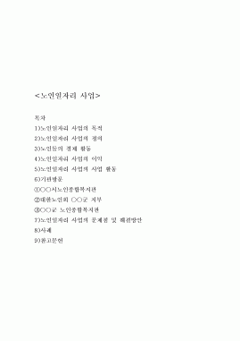 노인일자리사업 보고서(근로노인, 노인인력활용방안, 노인경제활동, 노인복지서비스, 노인고용문제)-1페이지