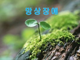 망상장애-1페이지