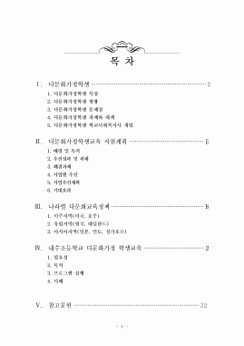 다문화가정학생지원 보고서(다문화교육정책, 다문화가정학생교육, 다문화가정아동교육, 내수초등학교사례, 다문화가정아동복지지원)-1페이지