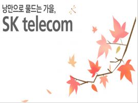 SKT 선정동기 & 기업企業소개,SKT 환경분석,SKT 마케팅 전략분석,브랜드마케팅,서비스마케팅,글로벌경영,사례분석,swot,stp,4p-1페이지