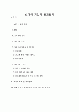 스카이 기업의 광고전략 -1페이지