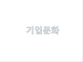 [비즈니스/경제] 기업문화   -1페이지