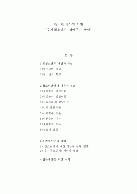 청소년 병사의 이해(후기청소년)-1페이지