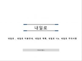  내일로 - 내일로란 , 내일로 이용안내, 내일로 계획, 내일로 tip, 내일로 주의사항-1페이지