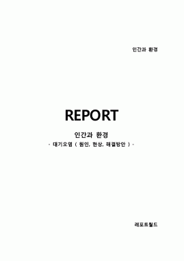 [사회과학] 인간과 환경 - 대기오염 ( 원인, 현상, 해결방안 )-1페이지