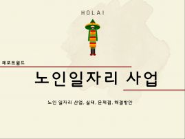  노인 일자리 산업 - 실태, 문제점, 해결방안-1페이지