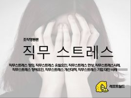  조직행동론 ( Organizational Behavior ) - 직무 스트레스 ( 직무스트레스 정의, 직무스트레스 유발요인, 직무스트레스 현상, 직무스트레스사례, 직무스트레스 장애요인, 직무스트레스 개선대책, 직무스트레스 기-1페이지