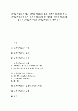 고객만족customer satisfaction (CS)의 개념, 고객만족(CS)의 요인, 고객만족(CS)의 혁신, 고객만족(CS)의 조사, 고객만족(CS)의 소비자반응, 고객만족(CS)의 총체적 고객만족(TCS), 고객-1페이지