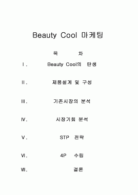 Beauty Cool 마케팅 -1페이지