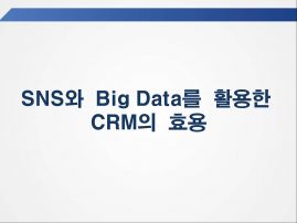 SNS와  Big Data를  활용한 삼성생명-1페이지