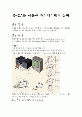 S-CA를 이용한 패러데이법칙 실험,S-CA를 이용한 콘덴서의 충방전 실험 보고서-1페이지