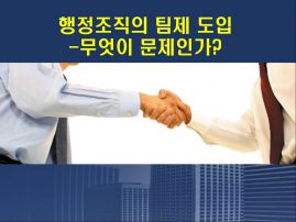 행정조직의 팀제 도입-무엇이 문제인가 -1페이지