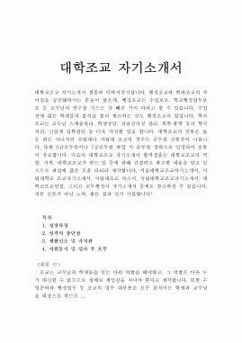 [대학교 조교자기소개서/이력서] 전문대학조교자소서, 국립대행정조교자기소개서,행정조교·학과조교 자소, 행정조교 자소서, 대학조교 지원동기 포부, 사무조교 자소서,행정조교자소서-1페이지